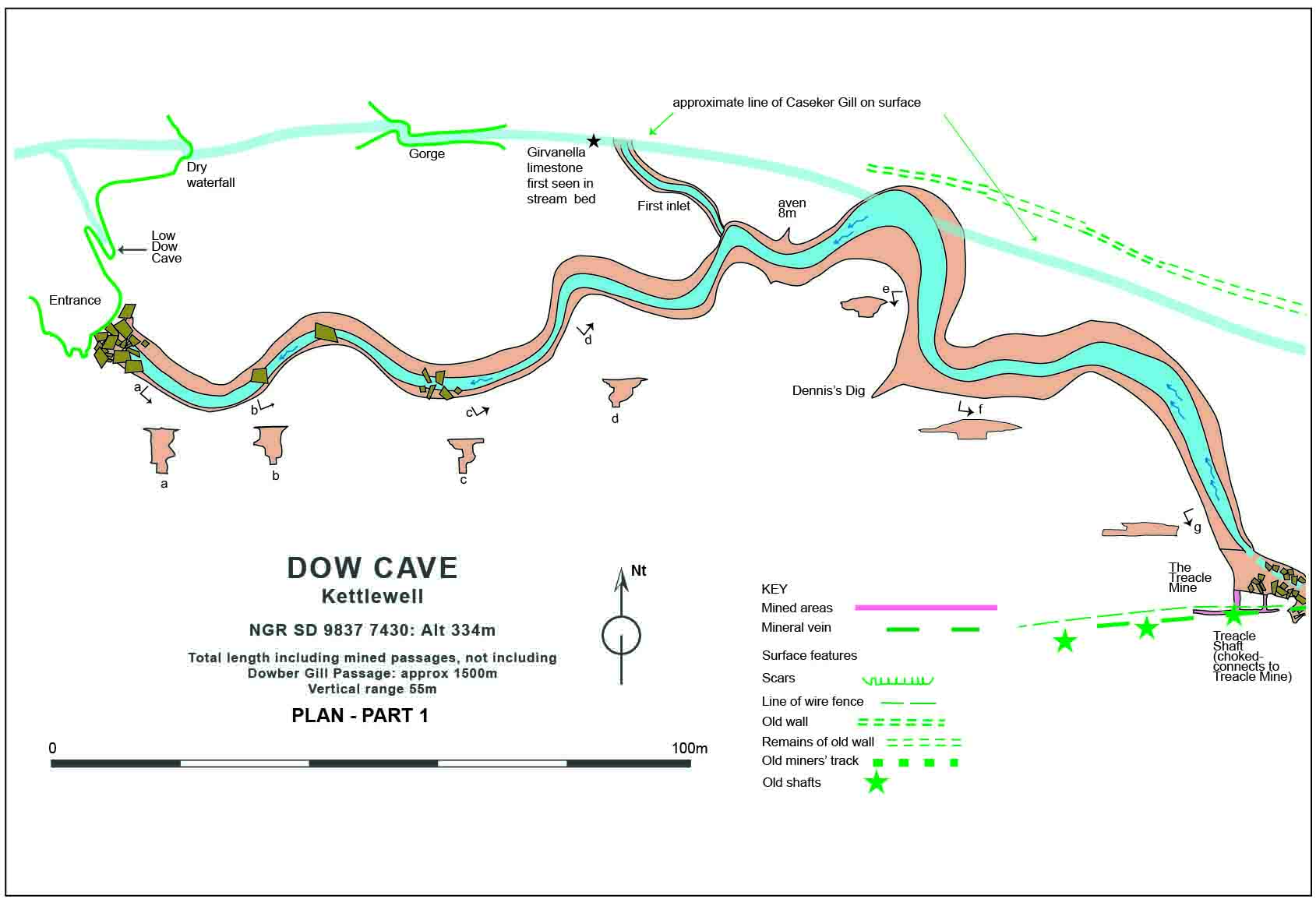 Dowsurveys
