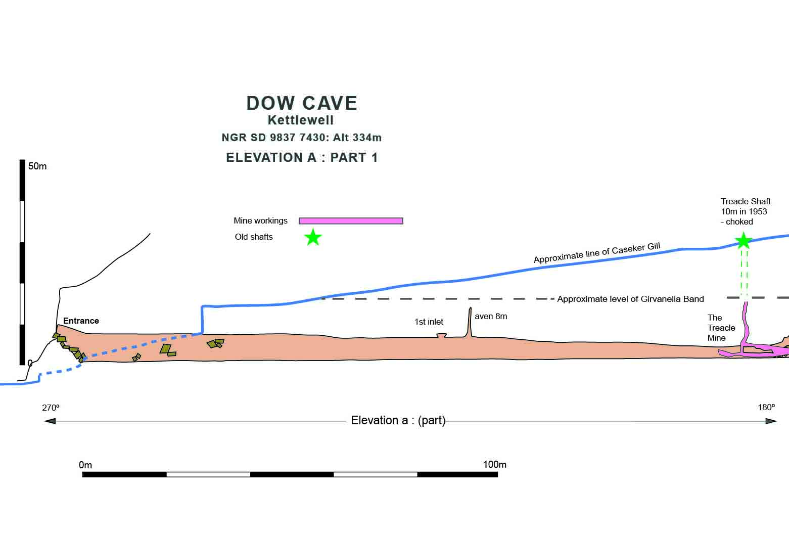 Dowsurveys