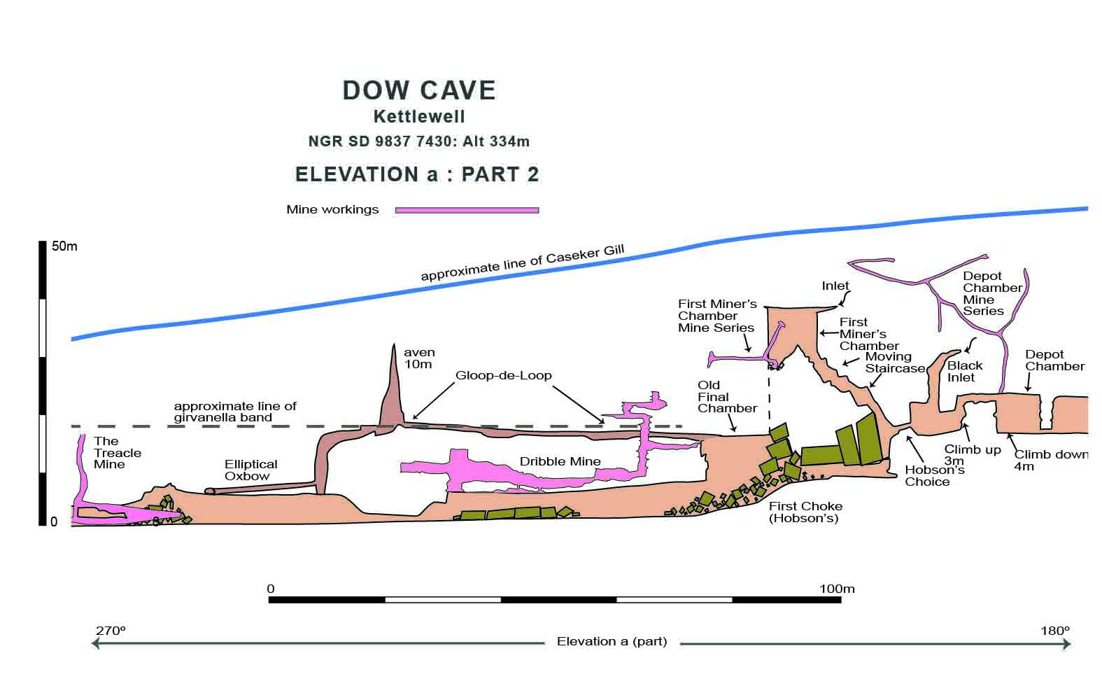 Dowsurveys