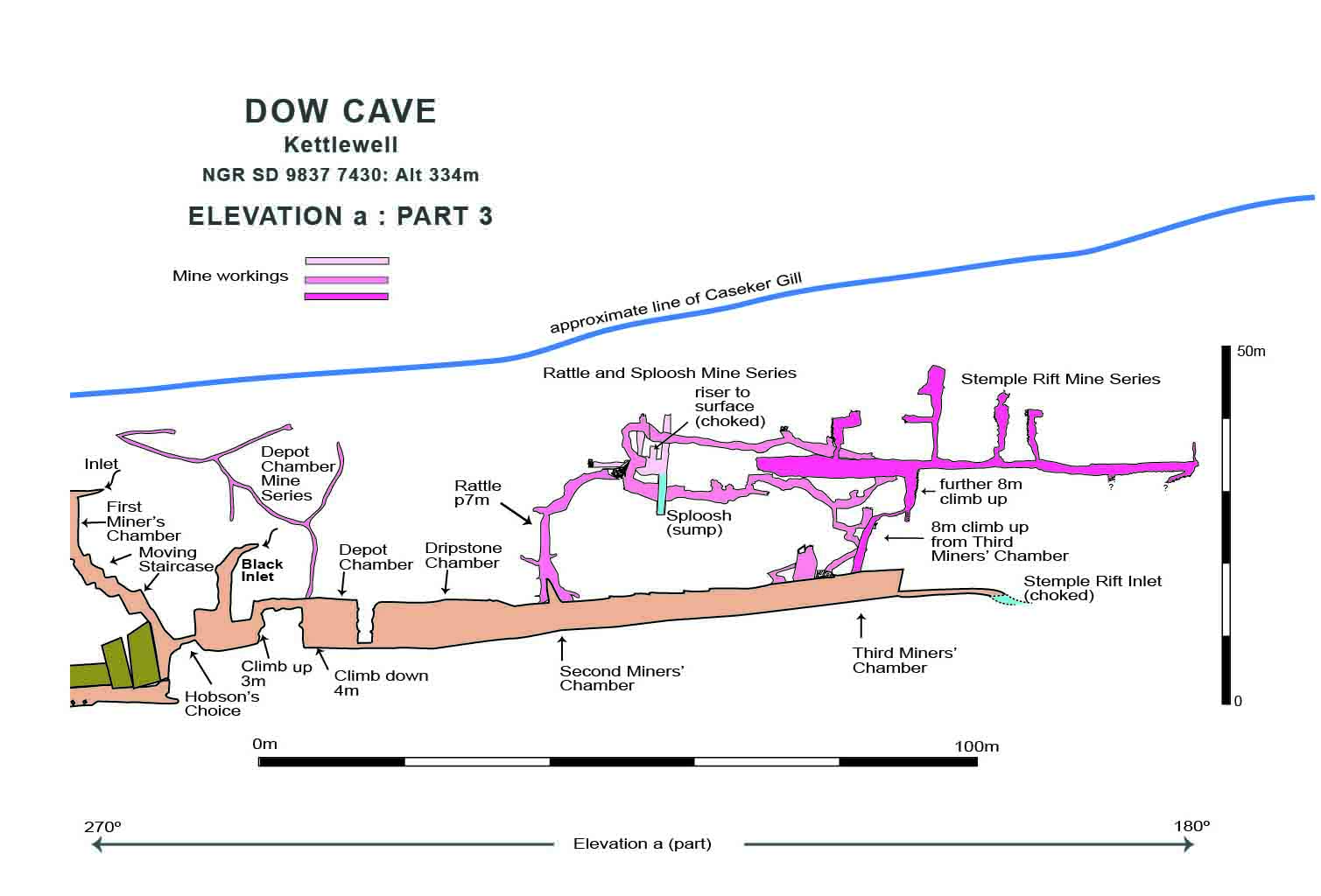 Dowsurveys