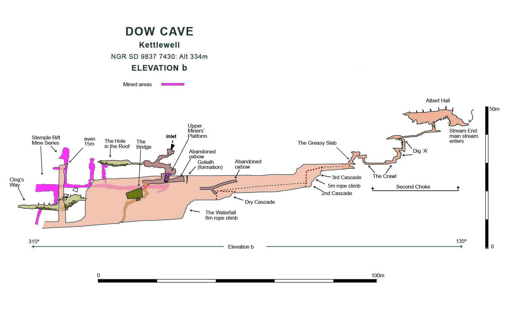 Dowsurveys