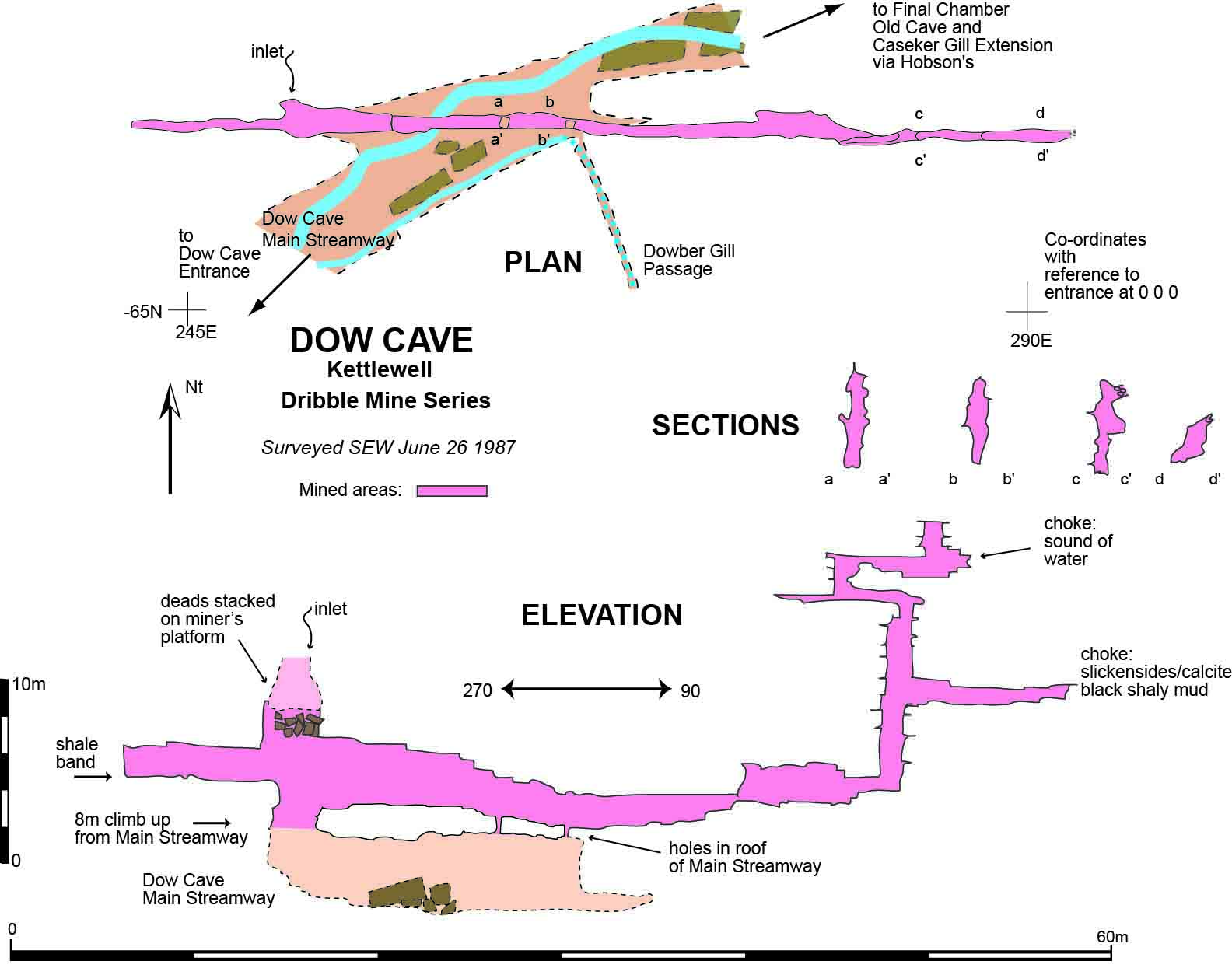 Dowsurveys