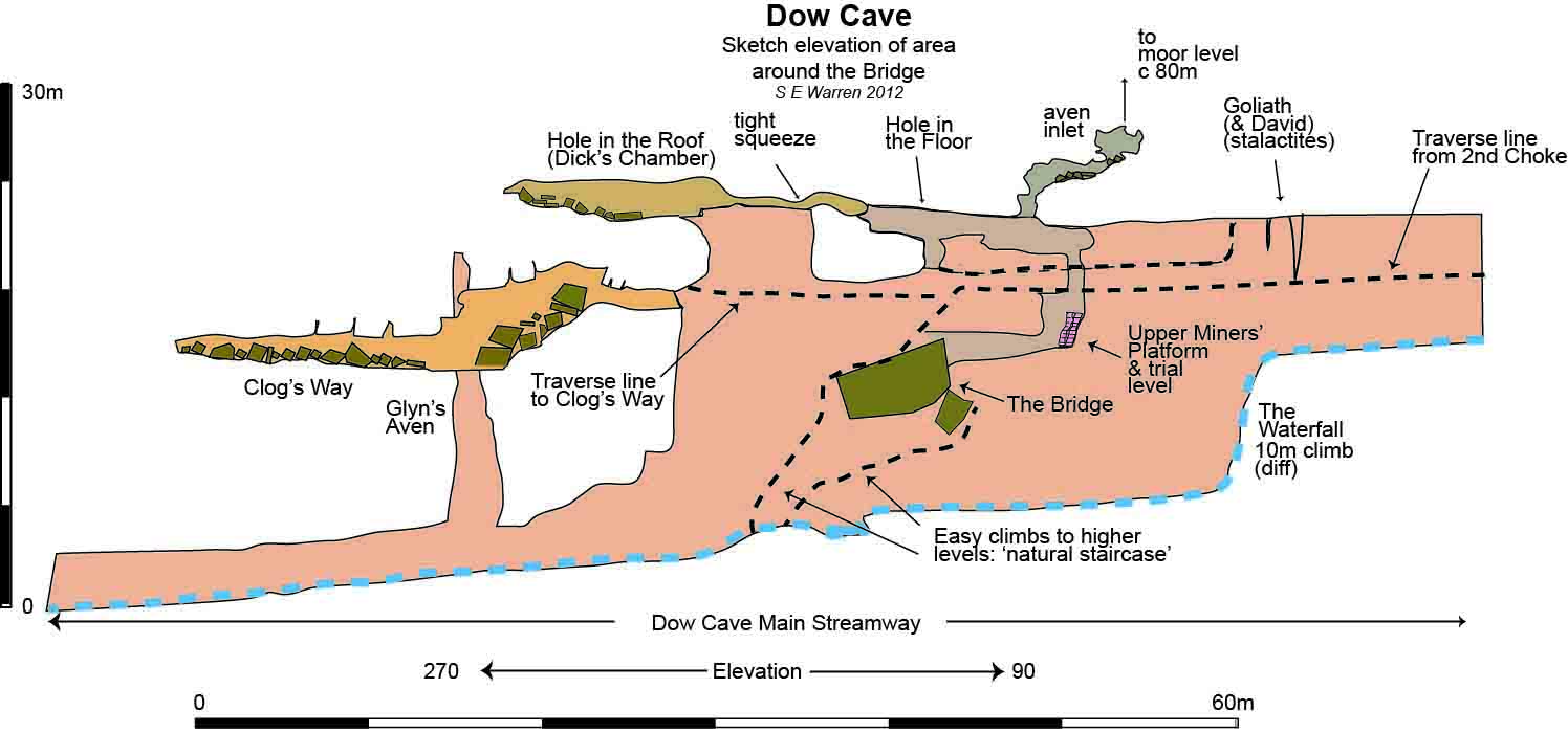 Dowsurveys